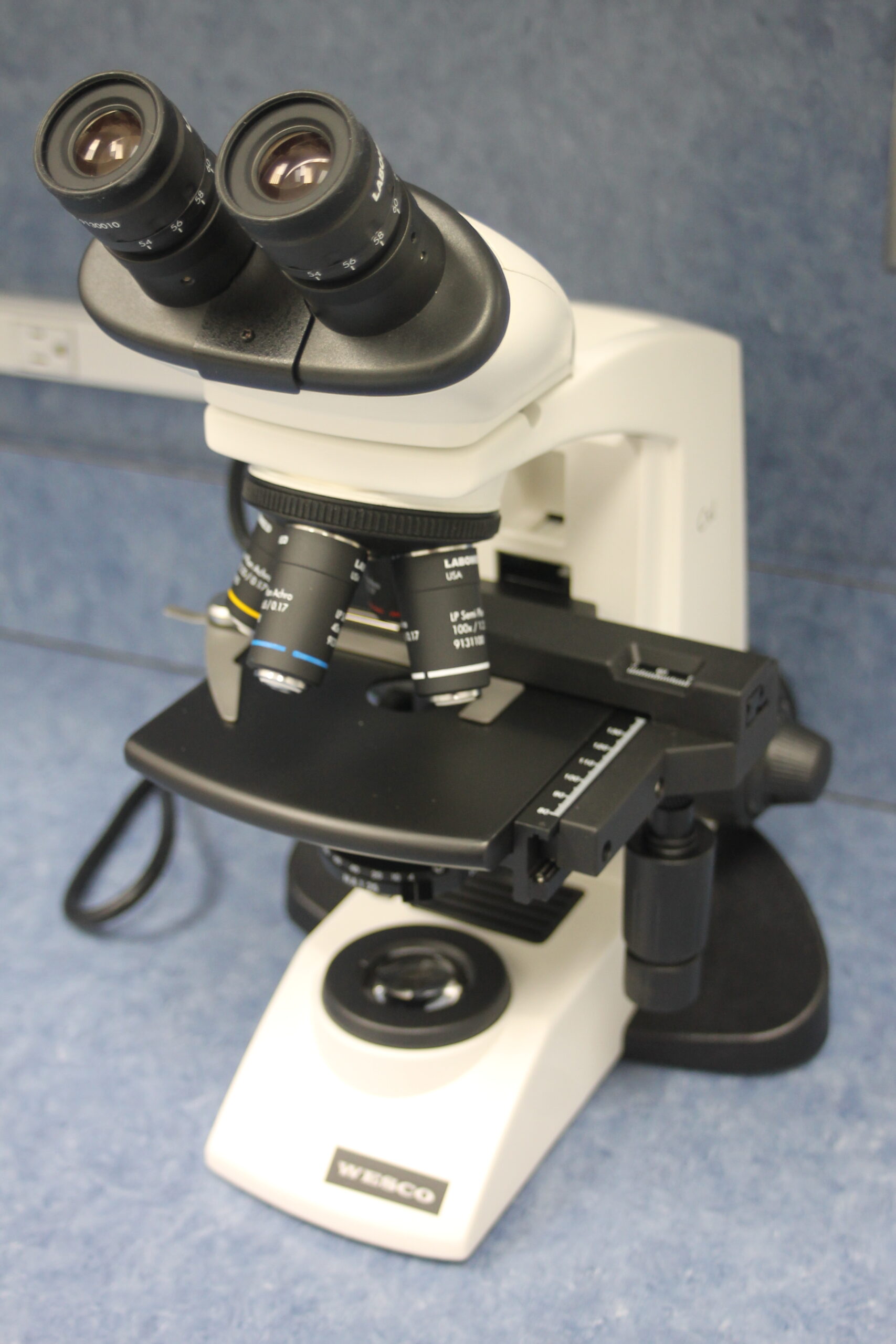 Fecal Flotation Test | Caring Hands Animal Hospital
