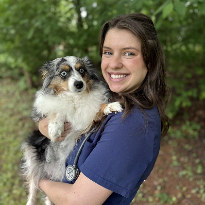 Dr. Amy August | Caring Hands Animal Hospital
